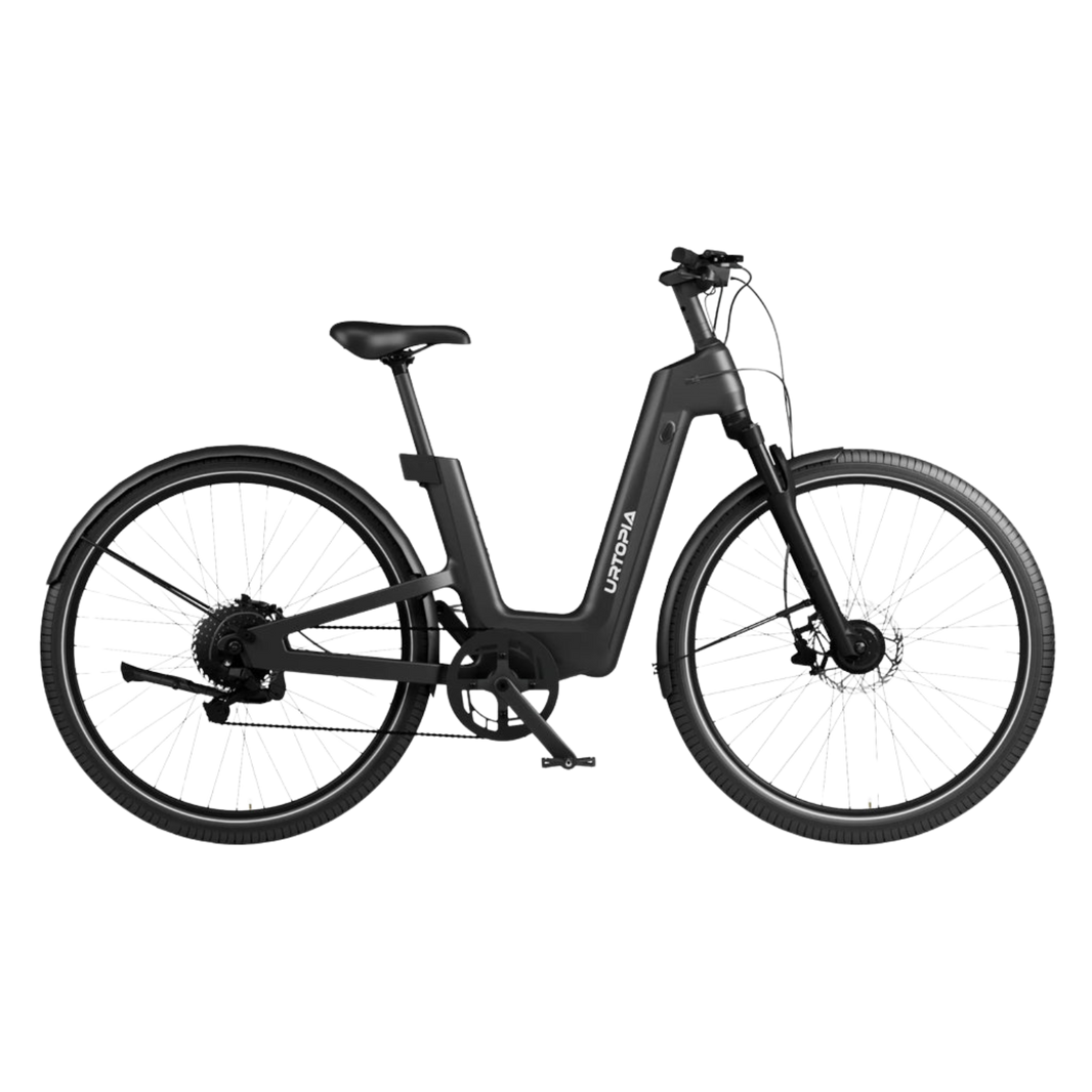 Blutron E-Bikes – Knotty Electrics